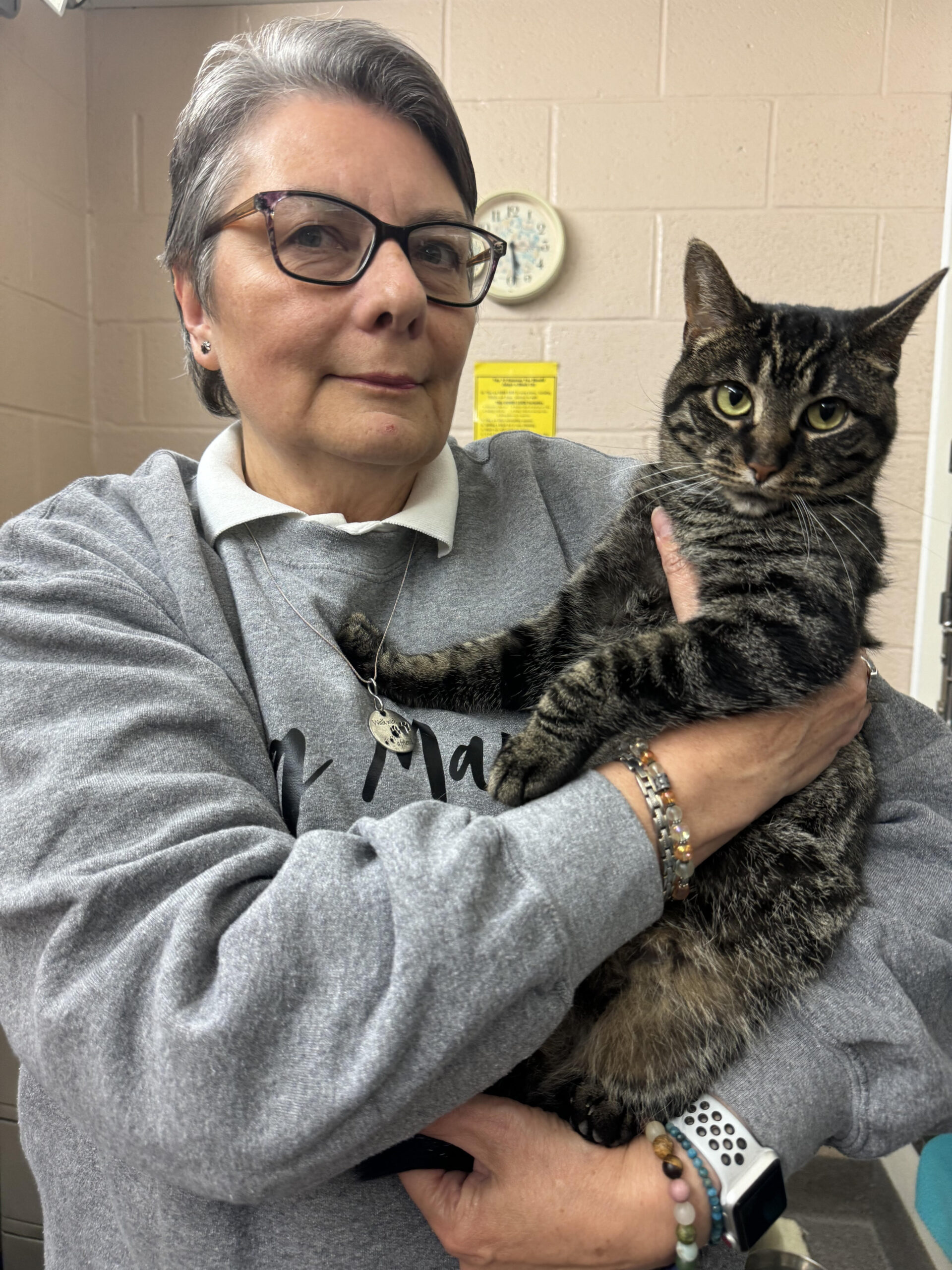 Babinsky Tapped To Lead Humane Society | News, Sports, Jobs - Post Journal